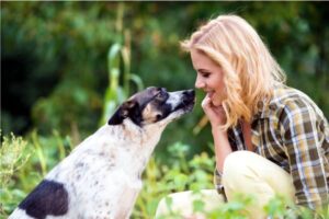 ¿Cómo acercarte y acariciar a un perro que no conoces? | GM